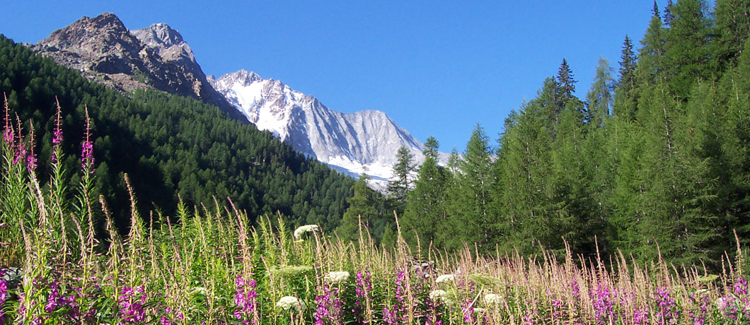 Alta Via della Valmalenco nelle Alpi Retiche | Rifugi di Lombardia