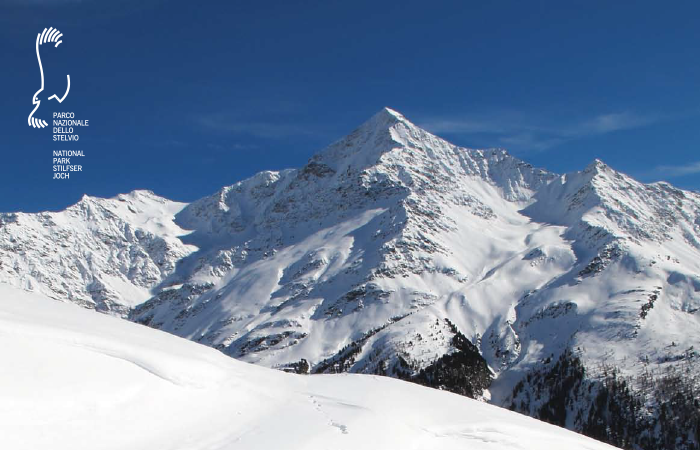 Escursioni sulla neve, ciaspolate nel Parco dello Stelvio | Rifugi di ...